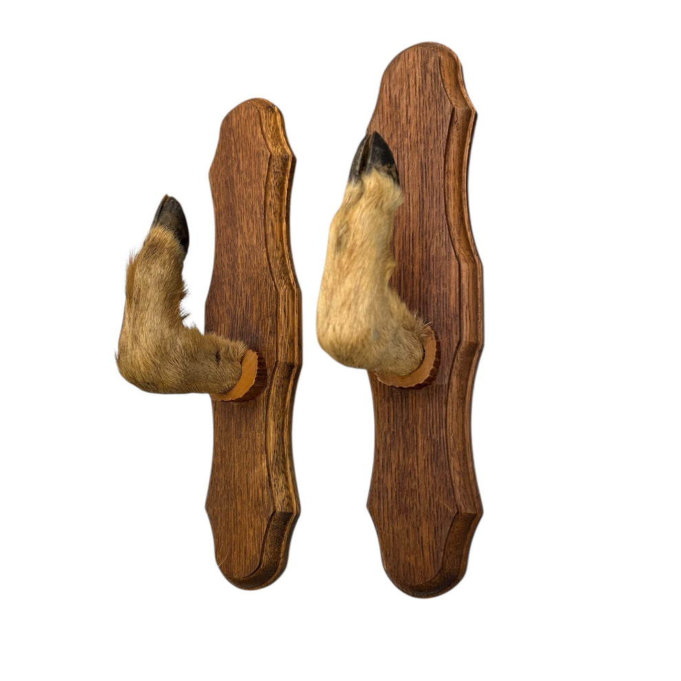 French Deer Hoof Vintage Coat Hooks – Unique Hunting Gift & Rustic Wall ...