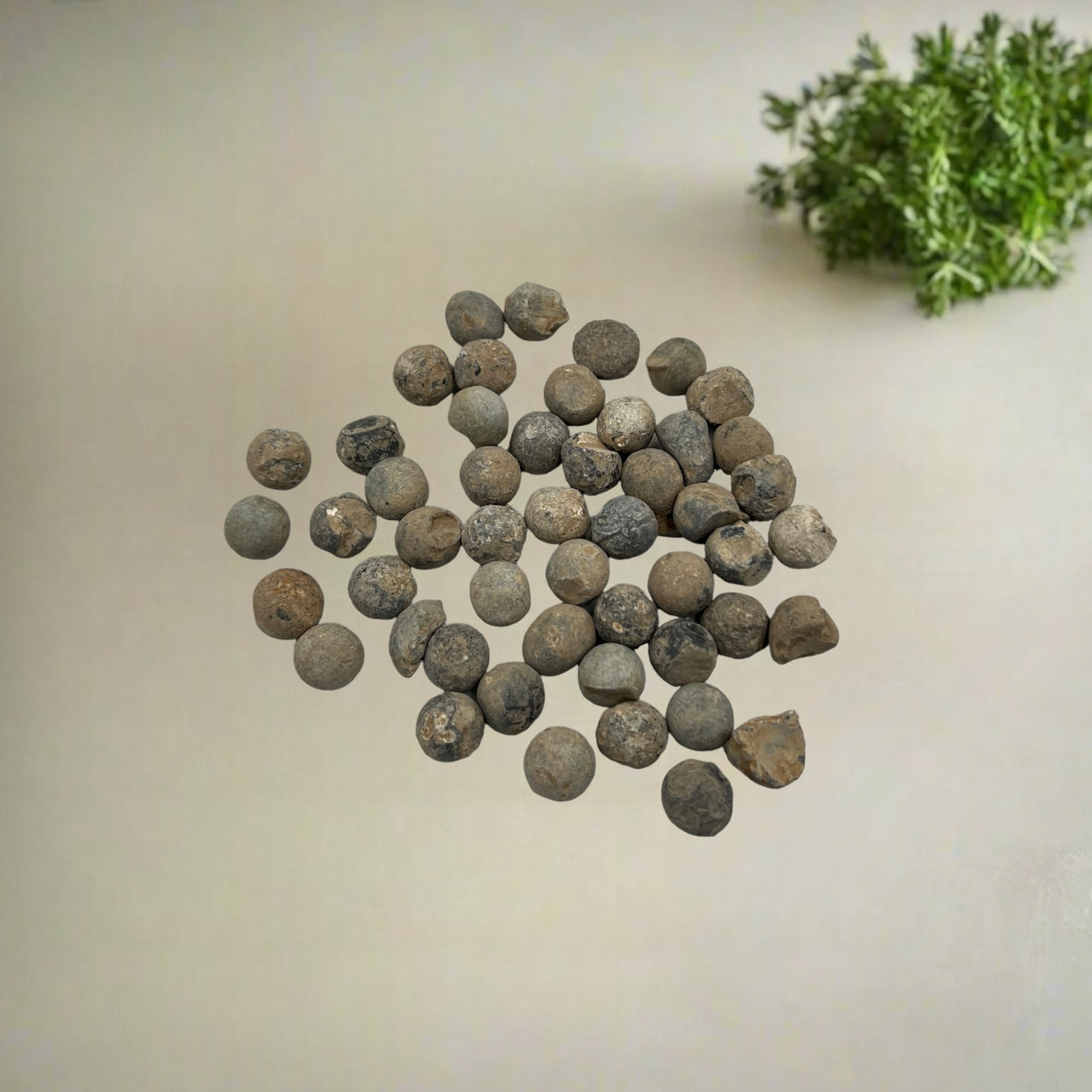 WW1 Shrapnel Balls – 50 - Somme Battlefield Relics – All Things French ...